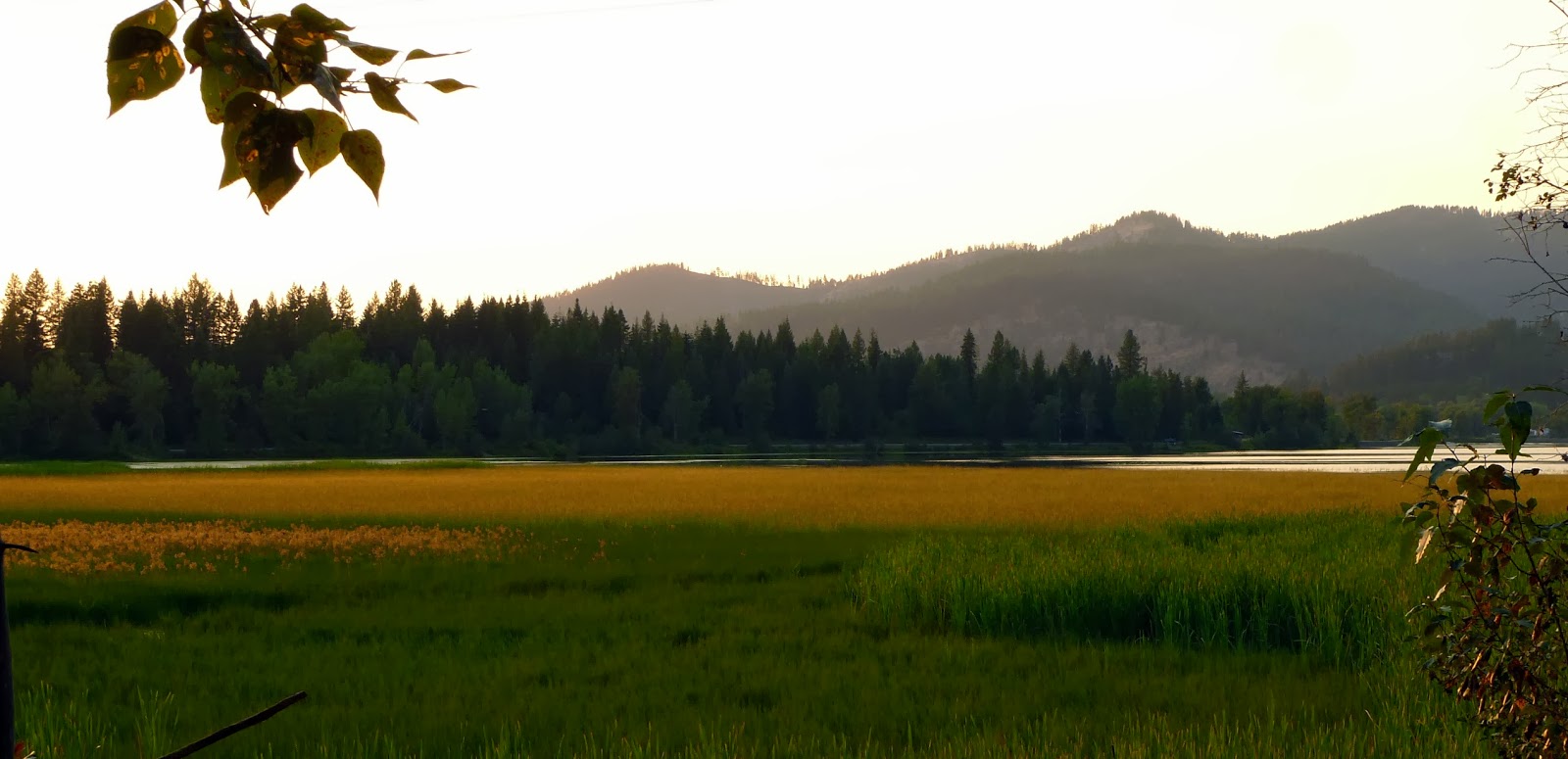 Wild Harvests: October 2013