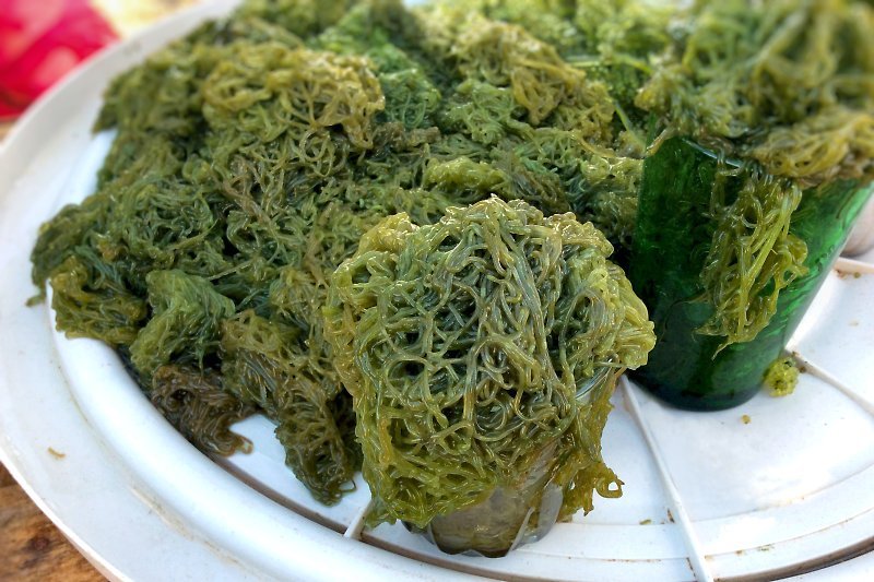 dead-hungry: February 2016