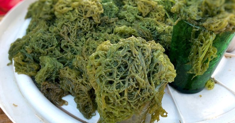 Love-me-knots | dead-hungry