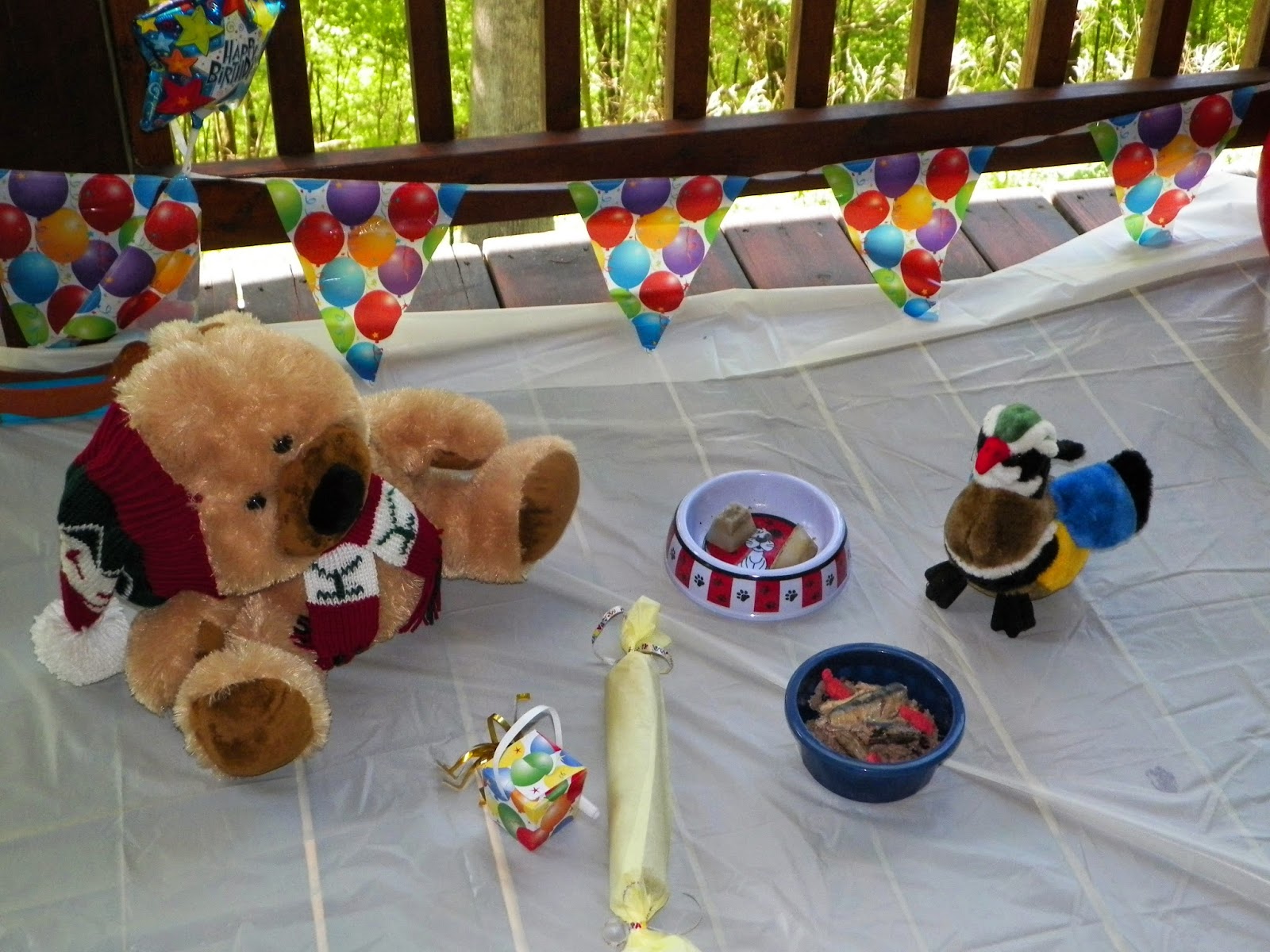 Sarge Speaks Out: My Gotcha Party