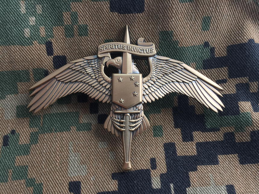 STRATEGIE & TECHNIK: Spiritus Invictus - neues MARSOC-Tätigkeitsabzeichen