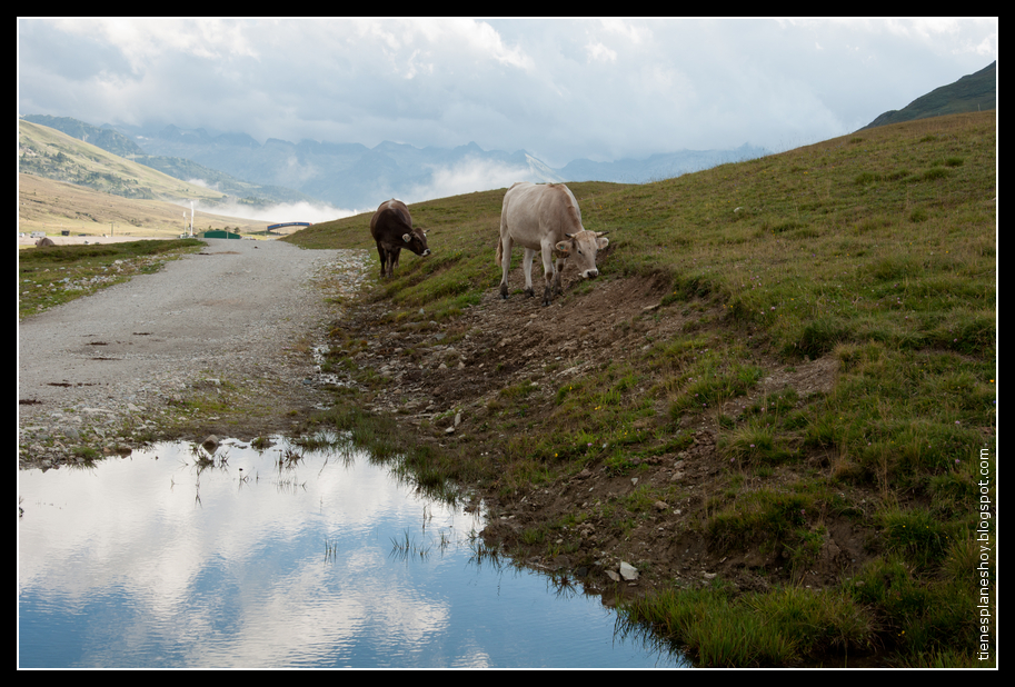 Ruta: Pla de Beret - Santuario de Montgarri | ¿Tienes planes hoy?