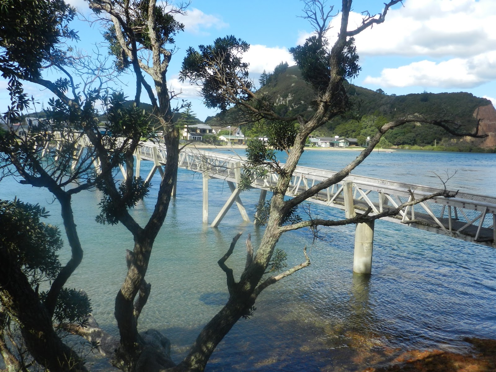 The Paddock: Pataua south