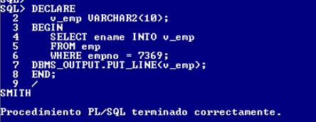 INTRODUCCIÓN AL LENGUAJE PL/SQL