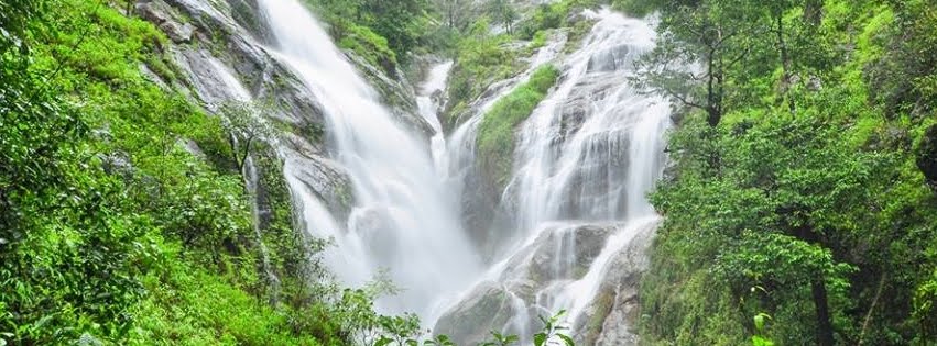 Free Cover Natural Images Gallery : cover 851x315