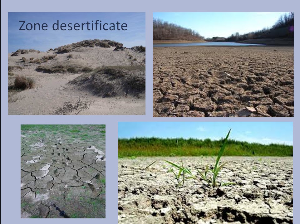 Riscuri naturale si antropice: Desertificarea