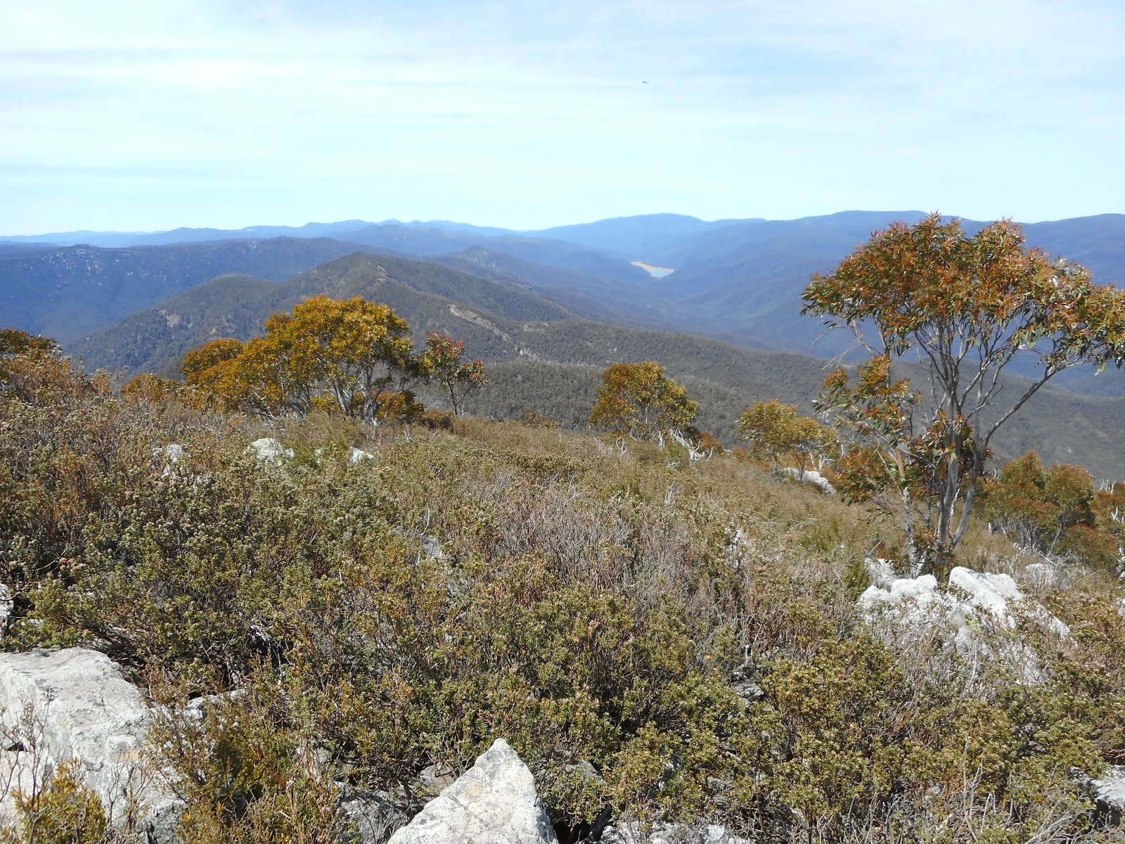 Phil's Bushwalking Blog: Tidbinbilla Nature Reserve: Tidbinbilla Mountain