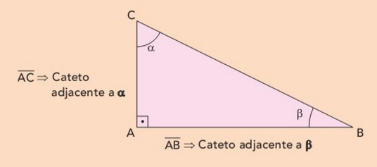 Classificação dos Catetos [Oposto e Adjacente] - Reforço de Matemática