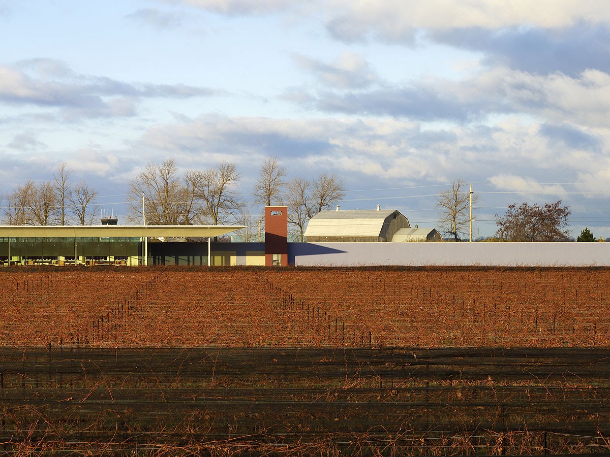 Southbrook Vineyards