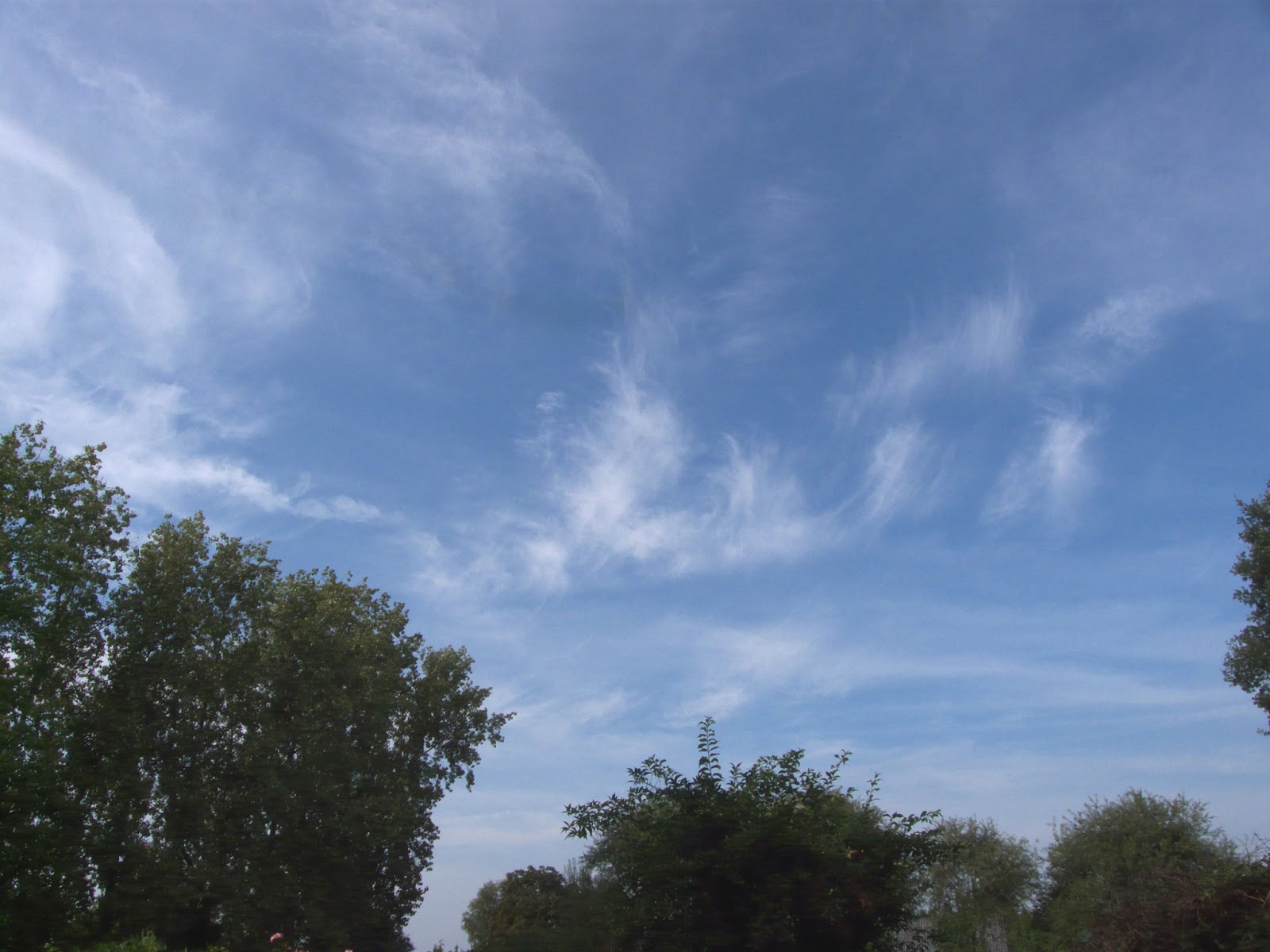 Head in the Clouds: 101: Clouds III