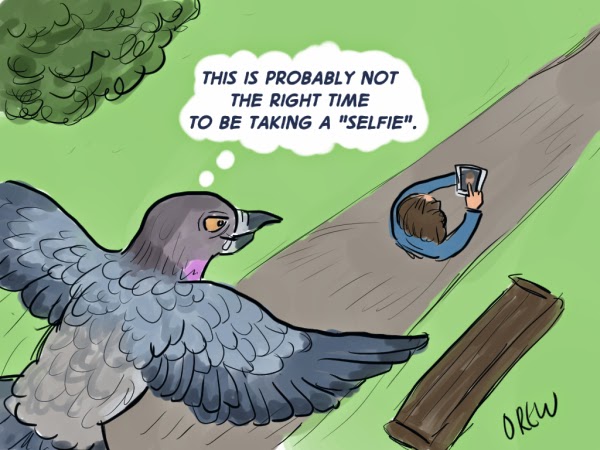 Evil Pigeon