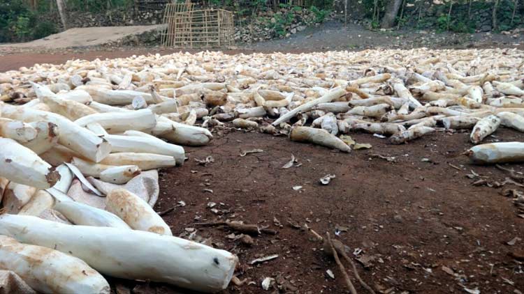 Plataran Sumbergiri Ponjong Gunung Kidul