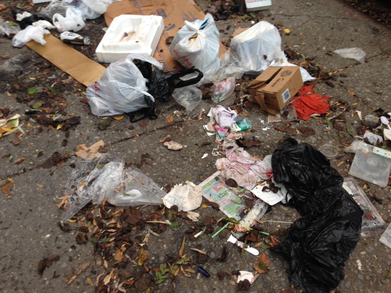 EV Grieve: Reader report: The trash at PS 15