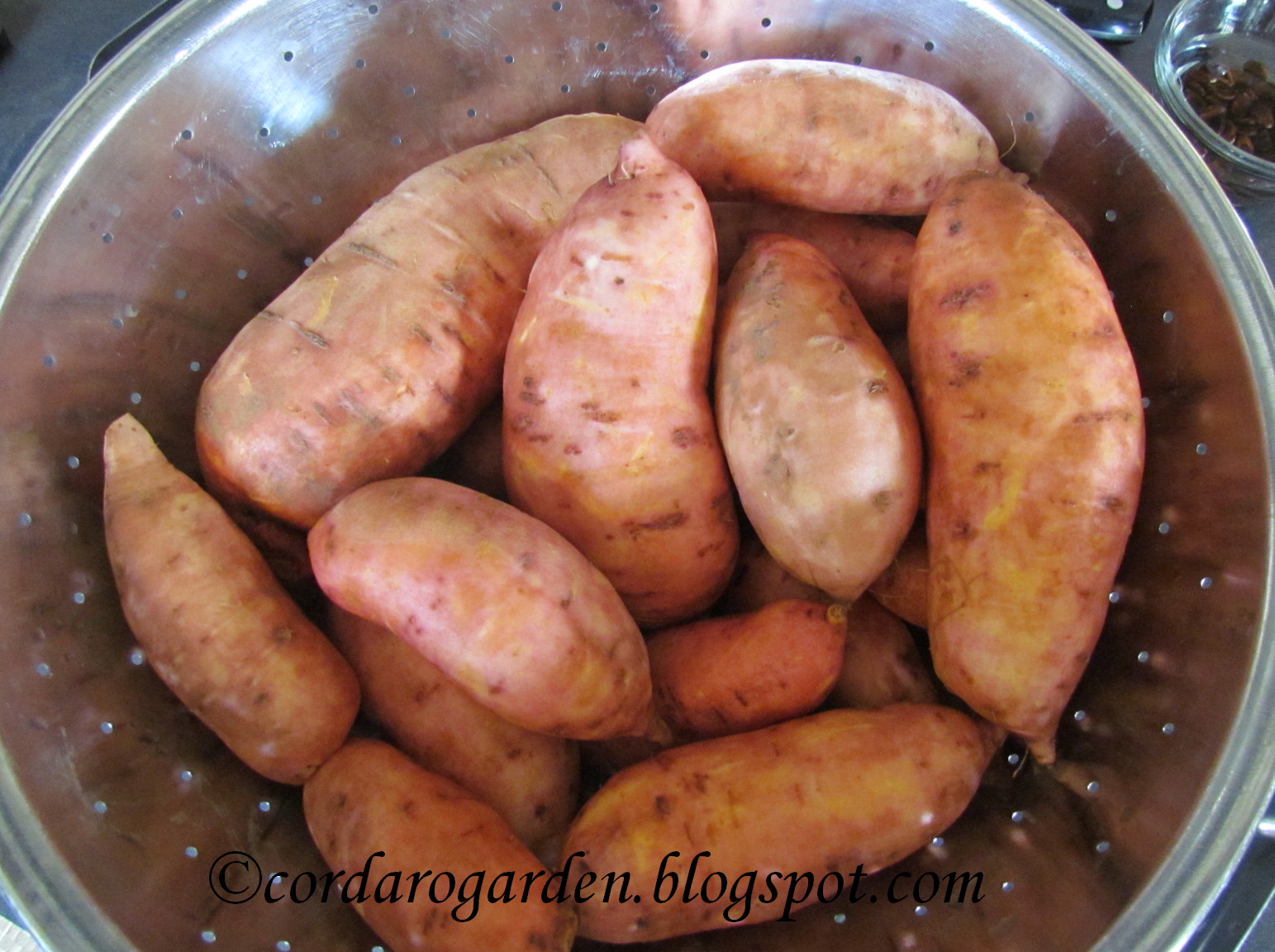 The Gardener of Eden: September 2011