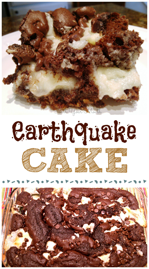 South Your Mouth: Earthquake Cake