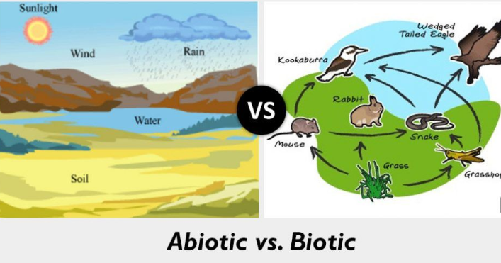 Distinguish between Biotic & Abiotic Stress