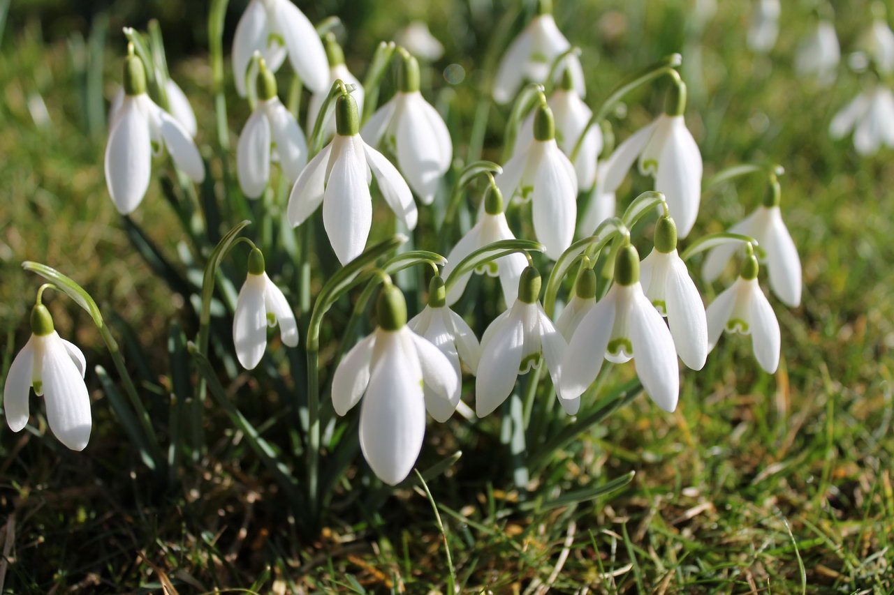 Das Leben ist Bunt: Frühling, bitte komm ...