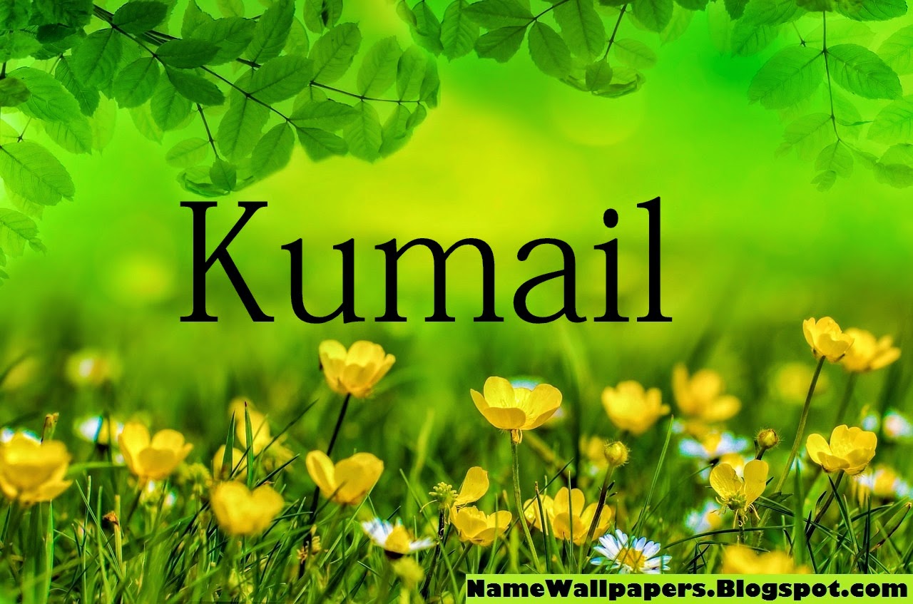 Kumail Name Wallpapers Kumail ~ Name Wallpaper Urdu Name Meaning Name ...