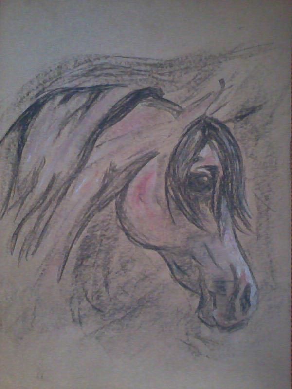 Stajnia pod Złotą Podkową: Moje rysunki :D