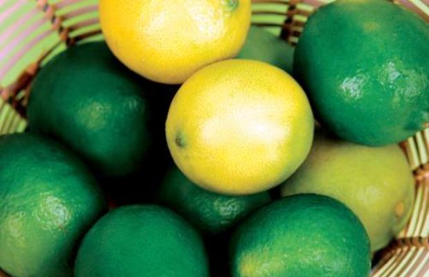 Limun (lat. Citrus x limon) | Prirodni lijekovi za sve bolesti ! All ...