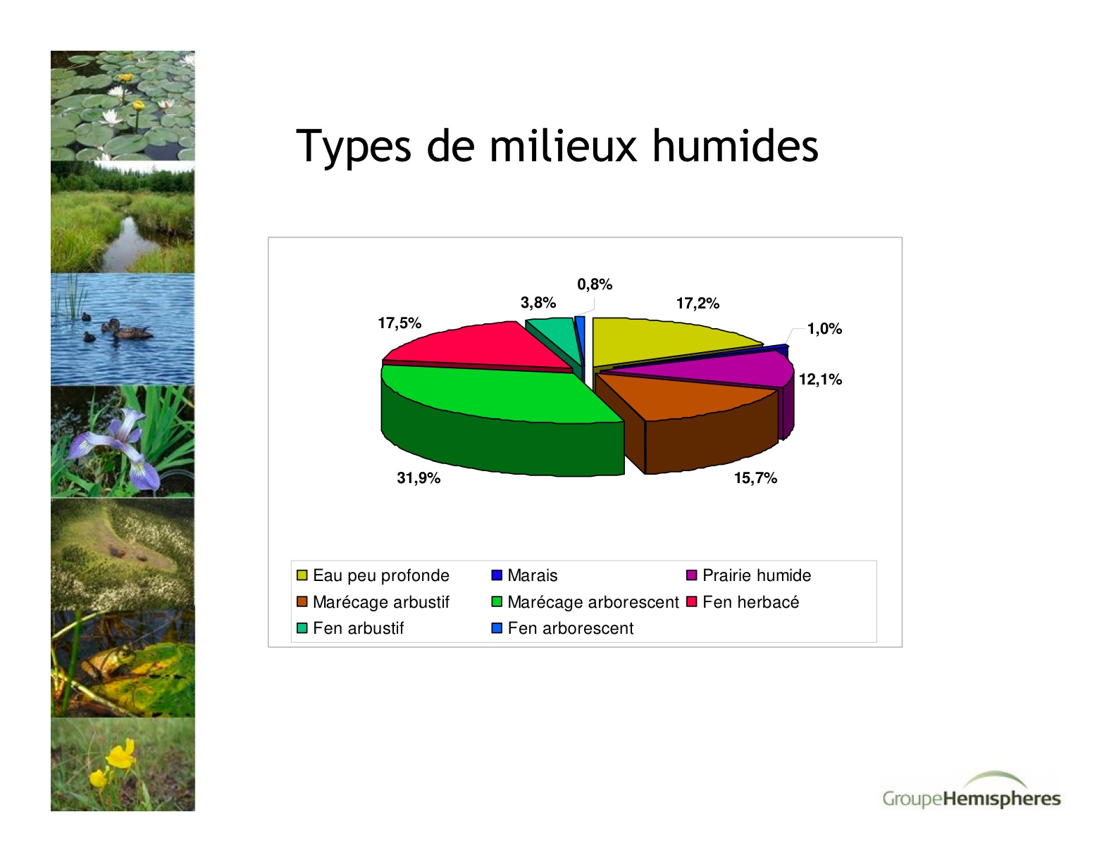 Lac Simon "One Lake - One Chance": Cartograhie des Milieux Humides: Lac ...