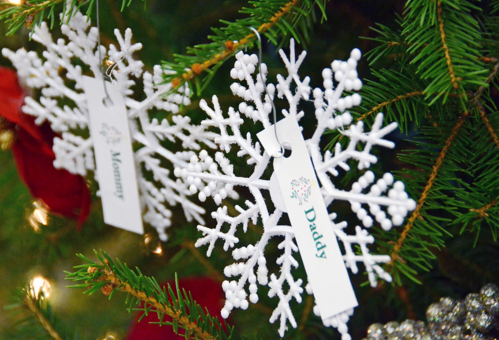 Christine Nicole Photography: 8th Annual Recovery Tree Celebration