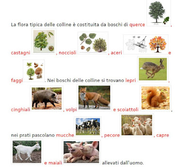 Paesaggi geografici