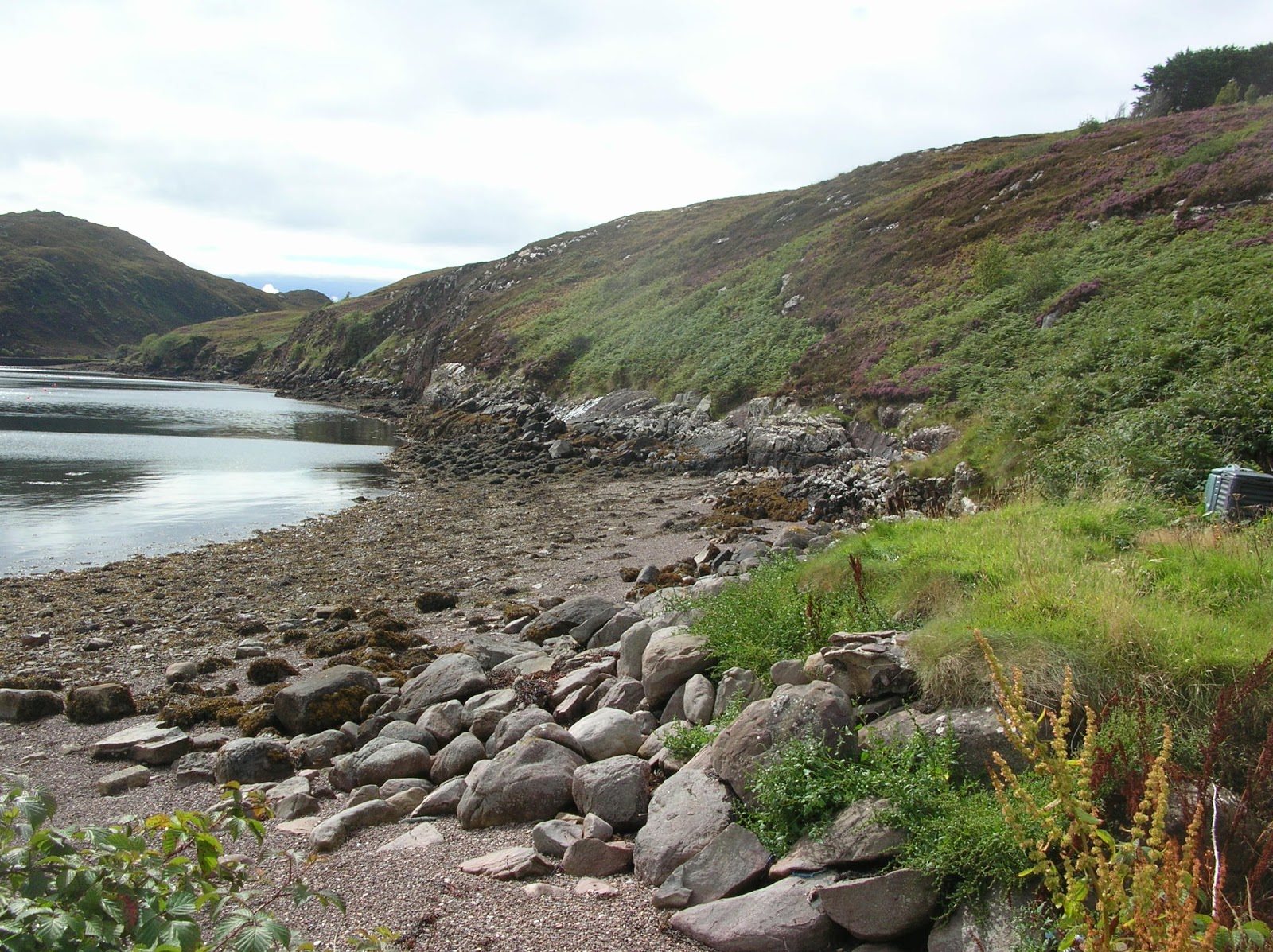 A lifetime of Islands: Island 151 - Tanera Mor, Summer Isles