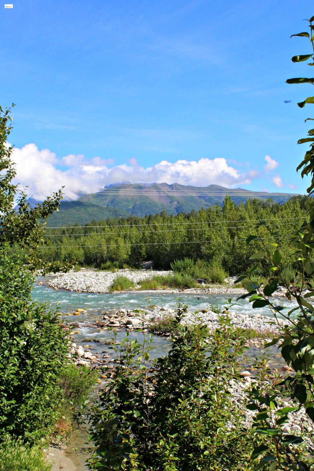 Along the Matanuska River on Alaska 1- South // Alaska | Caravan Sonnet