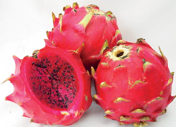 8 Manfaat Buah Naga Merah Untuk Kesehatan dan Kecantikan - Cara Merawat ...