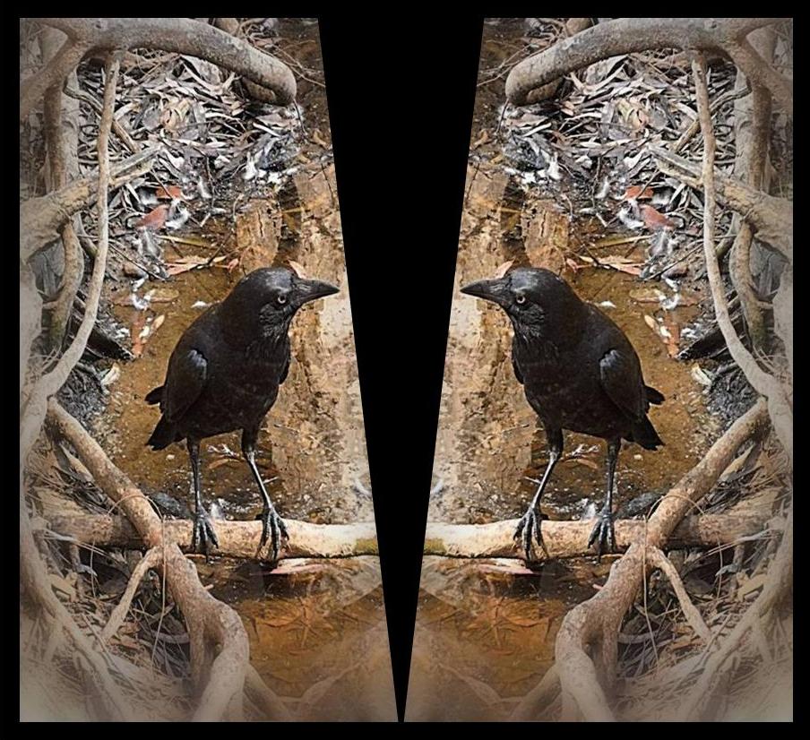 Flourishing Relationships | Insights and comments about relationships.