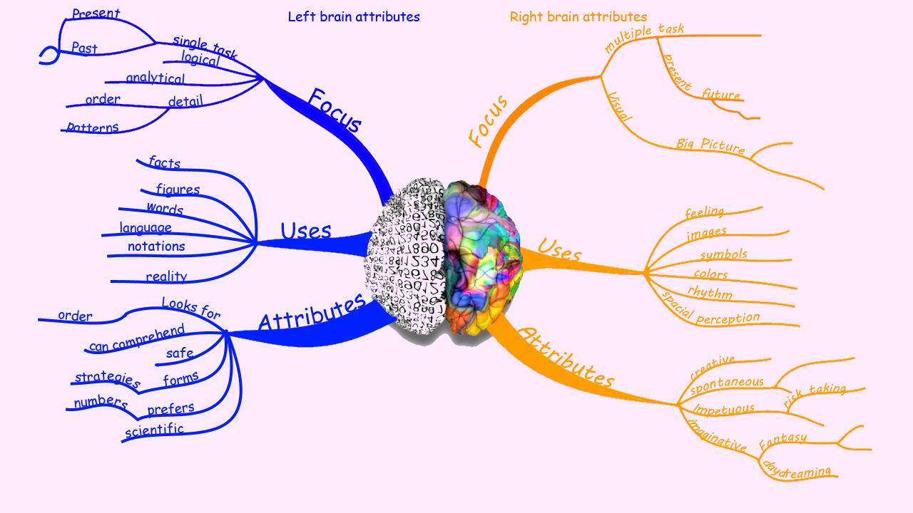 Mind maps and Essay: Brain mind map
