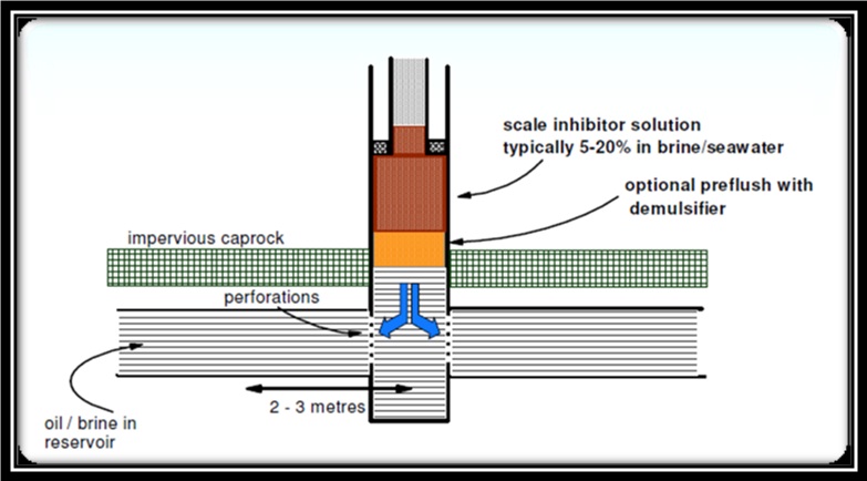 My Journey: Downhole Scale Squeeze Treatment (DSST)