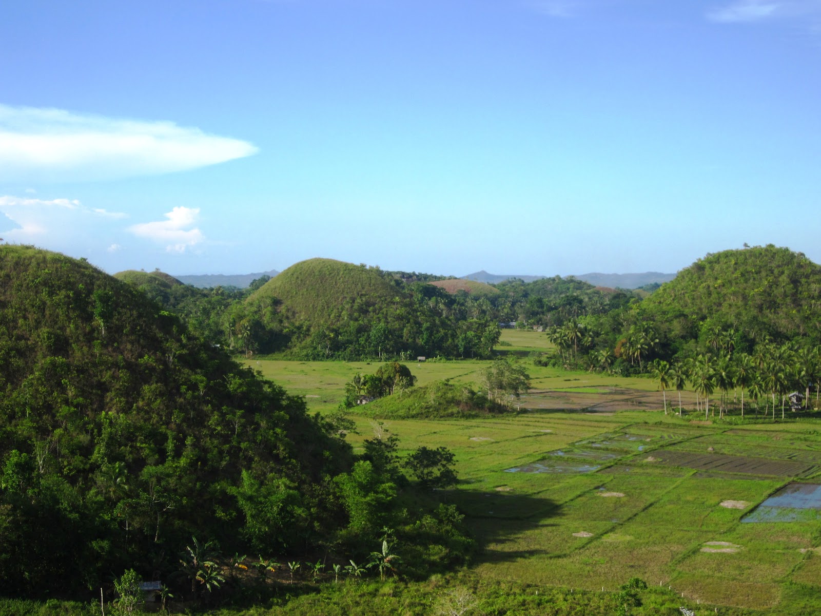 the traveller & her thoughts: SAGBAYAN PEAK (bohol)
