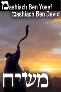 JEWS MESIANIC VOLTA REDONDA: Quem é Mashiach ben Yosef