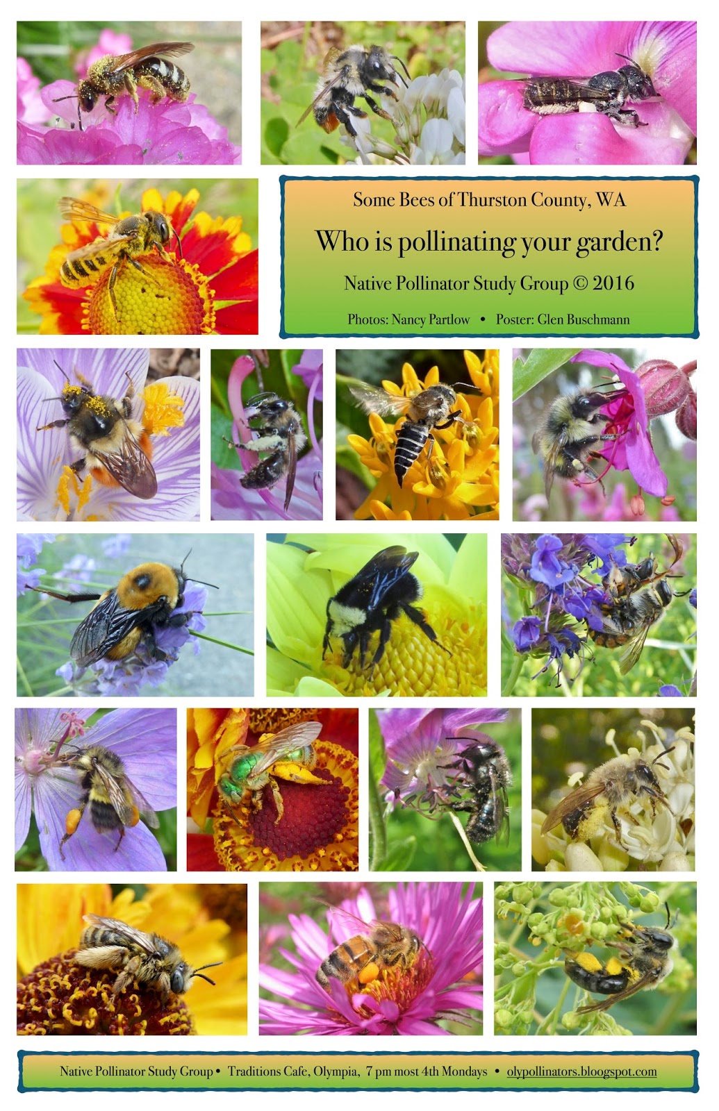 Bees, Birds & Butterflies: 11 x 17 Posters - Thurston County (click ...