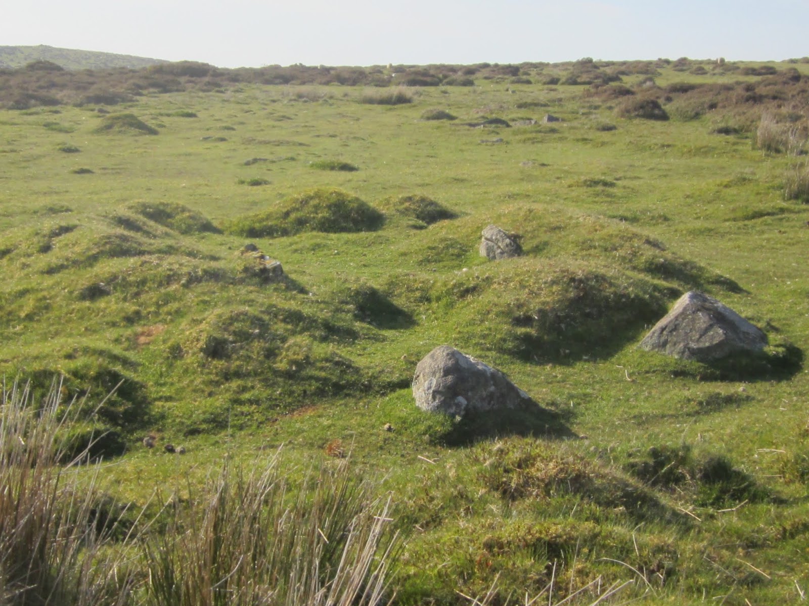 Stonehenge and the Ice Age: Hut circle on Waun Mawn