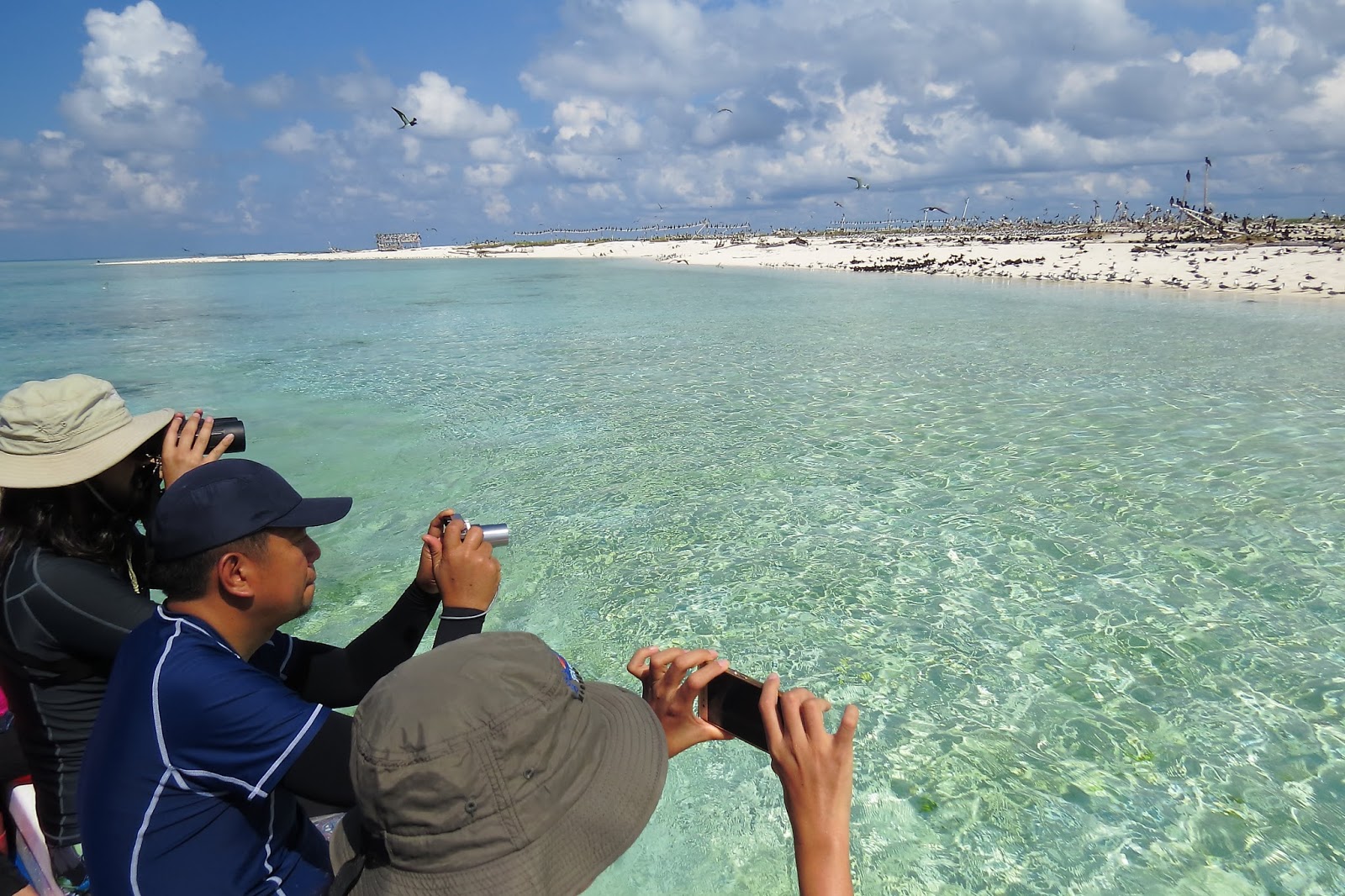 maiabird's brain: Tubbataha Adventure Day2: Ranger Station