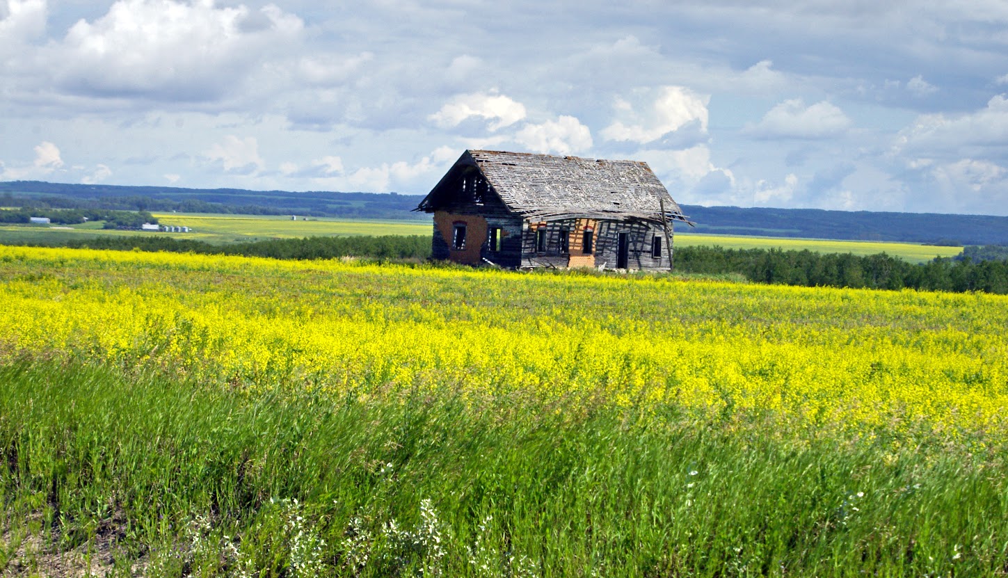 Day 1 - A prairie landscape