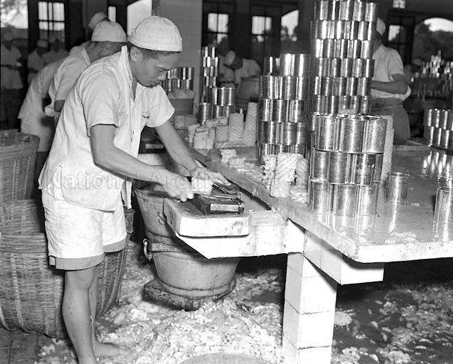 Singapore Four Heavenly Kings of Pineapple 🍍 Tan Tye, Lim Nee Soon, Tan ...