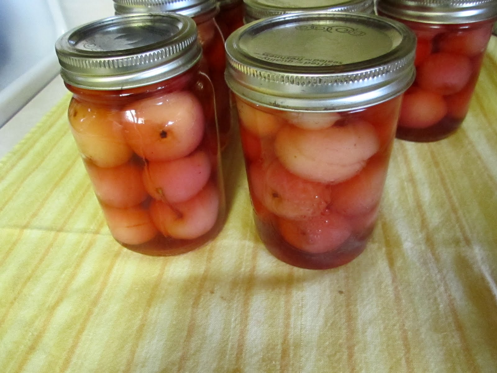 Molly's Kitchen: Crab Apple Jelly & Pickles