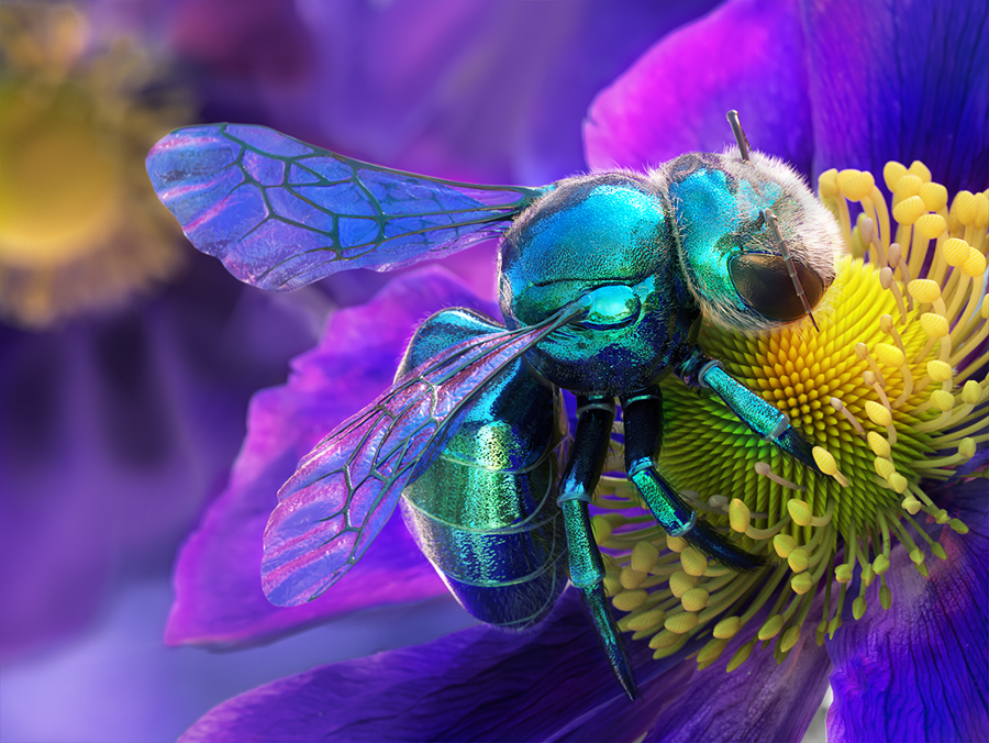 Nathan Jones - Digital Artist Blog