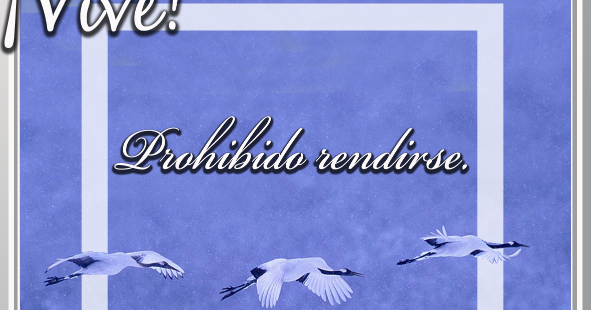 Prohibido rendirse. - Reflexiones Ilustradas