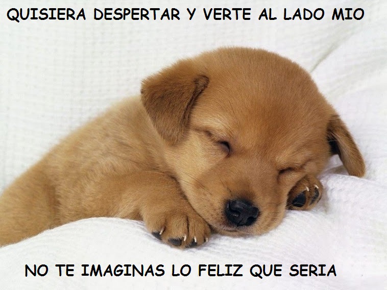 Imágenes Tiernas Imágenes Tiernas