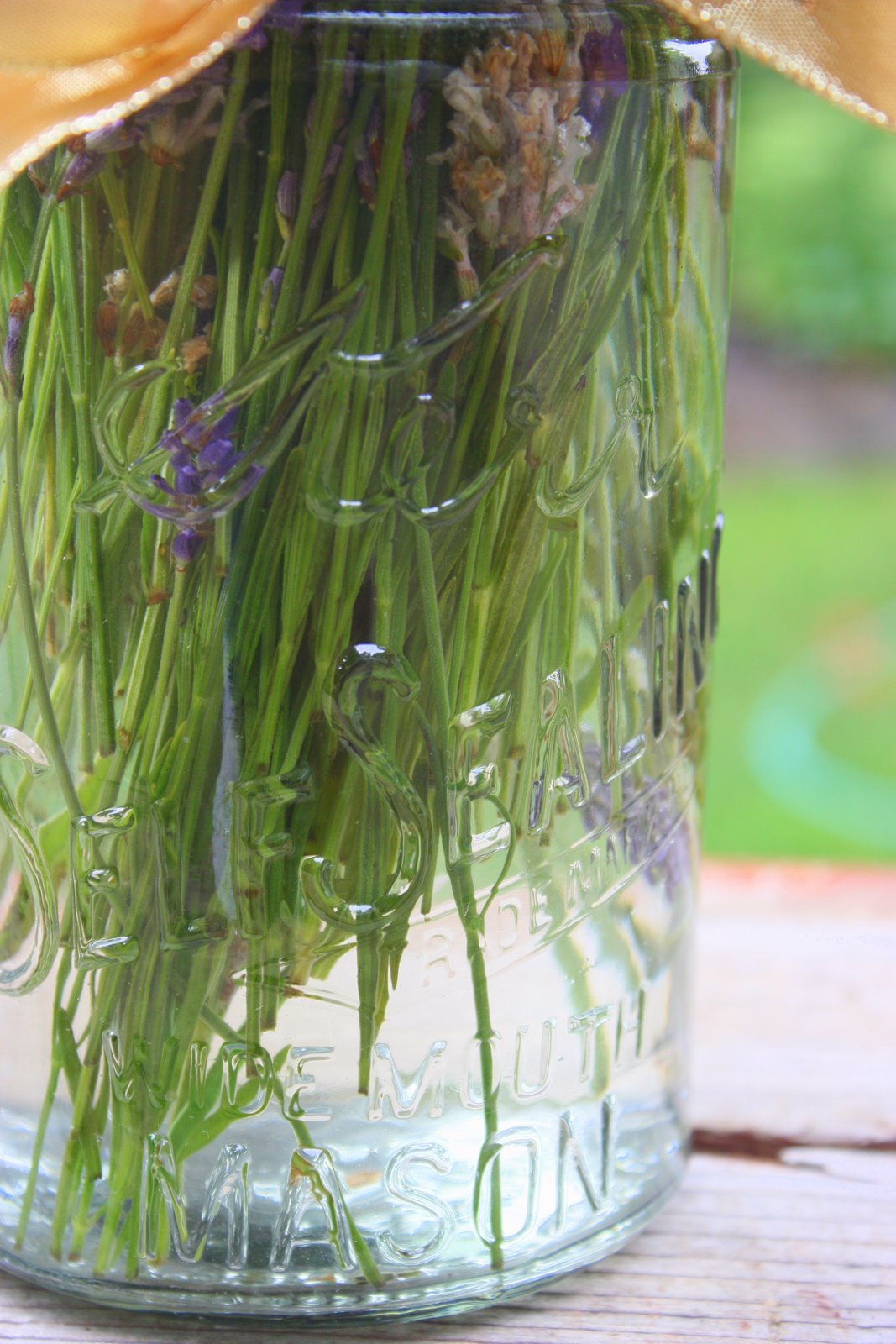 Lavender's Blue, Dilly Dilly - home is where my story begins...