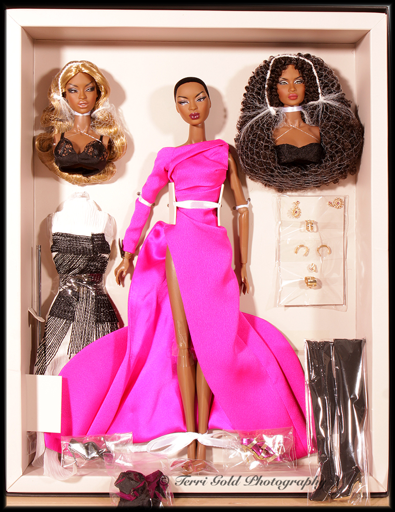 Collecting Fashion Dolls by Terri Gold: The Many Faces of Adele Gift Set