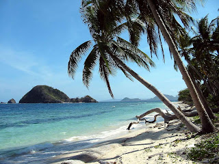 wallpaper zh: Nature pictures wallpaper