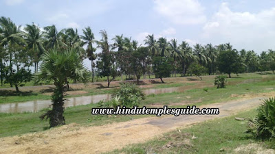 Kotipalli Someswara Swamy Temple Information