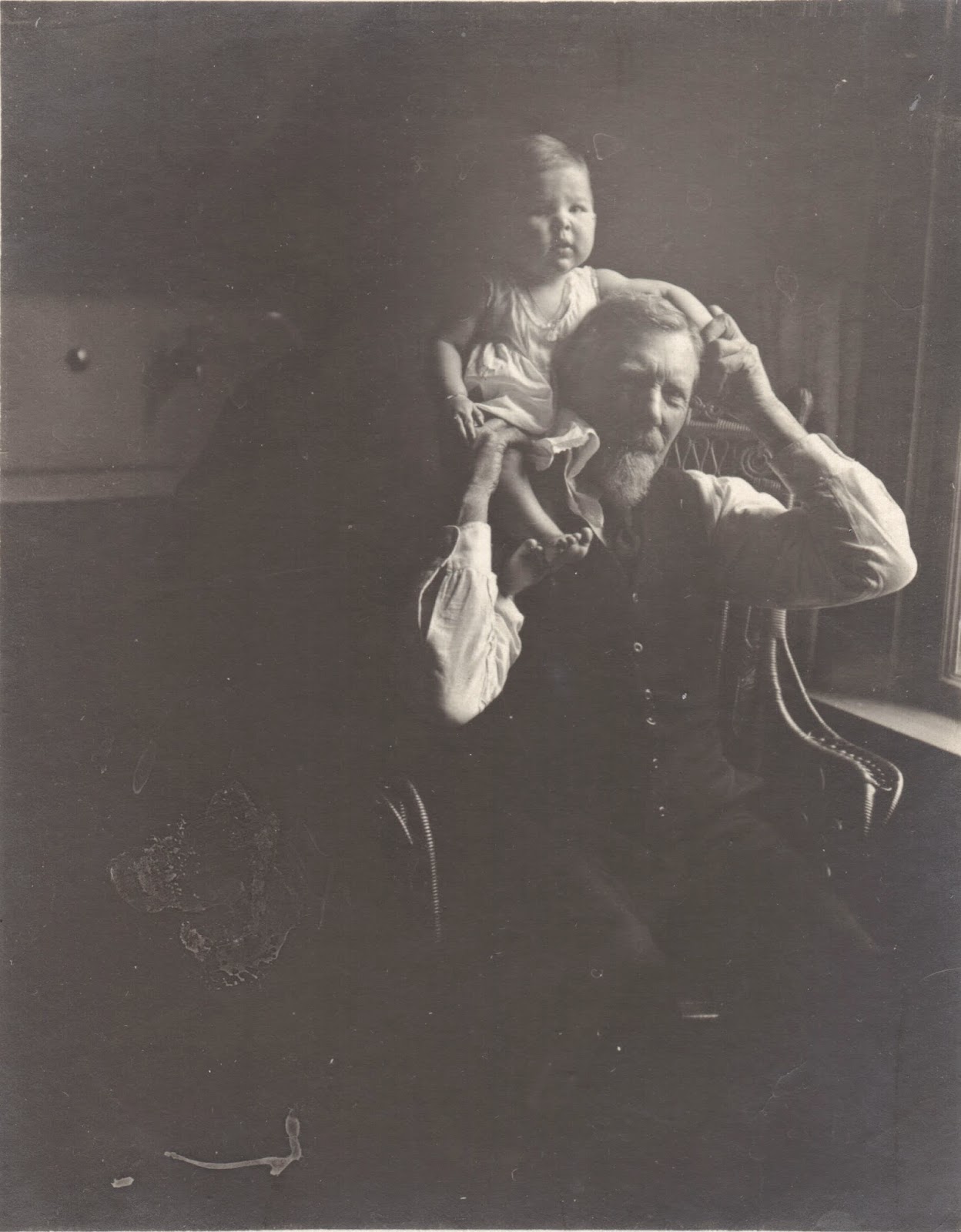 Leaf, Stem, Branch, and Root