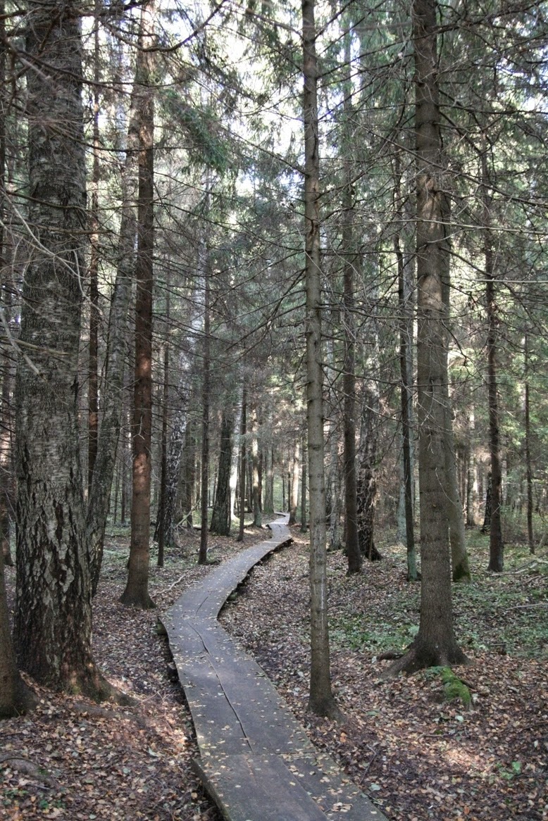 Ikdienas burvība un skaistums